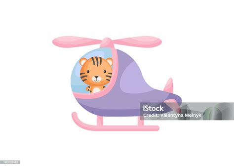 보라색 헬리콥터에서 귀여운 작은 호랑이 조종사 어린이 책 앨범 베이비 샤워 인사말 카드 파티 초대장 집 인테리어를위한 만화 캐릭터 벡터 스톡 일러스트레이션 0명에 대한 스톡