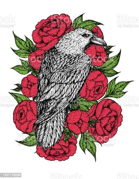 까마귀와 꽃 손으로 그린 그림 문신 빈티지 프린트 손으로 그린 꽃 무늬 프린트 문신 디자인 고스에 대한 스톡 벡터 아트 및 기타 이미지 Istock