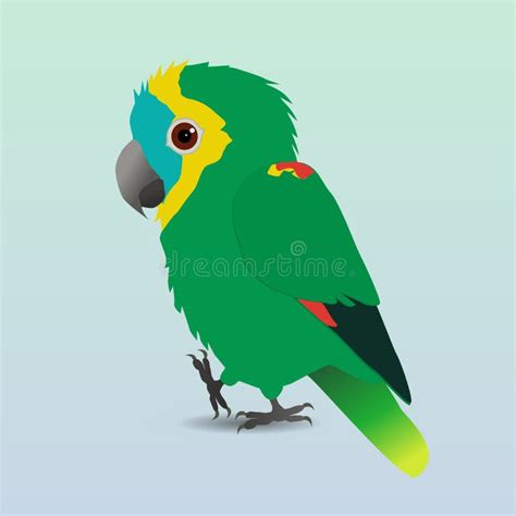 Fronted Amazon Stock Illustrations 31 Fronted Amazon Stock