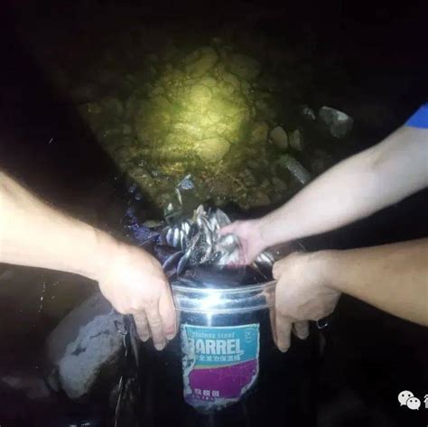 灌阳两男子被现场抓获，这件事千万不要再干！非法观音阁乡黄某来