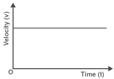 NCERT Solutions Class 9 Science Chapter 8 Motion TheExamPillar NCERT