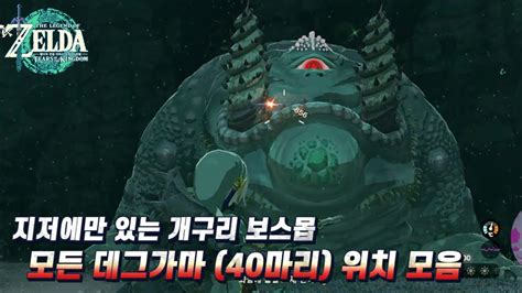 [젤다의 전설 왕국의 눈물] 지저에만 있는 개구리 보스몹 모든 데그가마 40마리 위치 모음 Youtube
