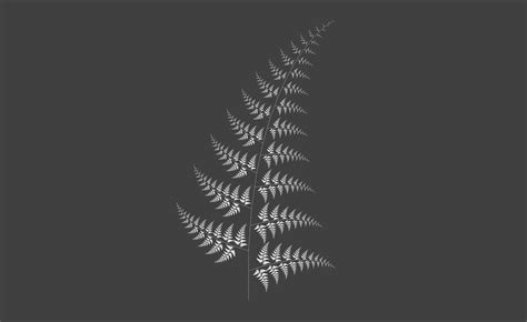 github ejacquem fractal generator