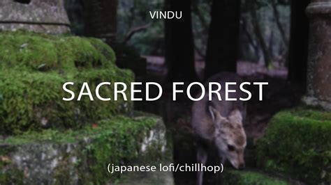 Vindu Sacred Forest Japanese Lofi Chillhop YouTube