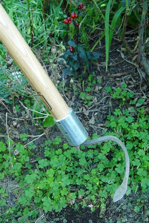 Long Handled Weeding Tools