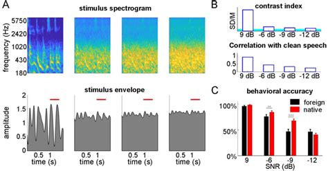 Stimuli And Behavioral Results A Stimulus Spectrogram Top And