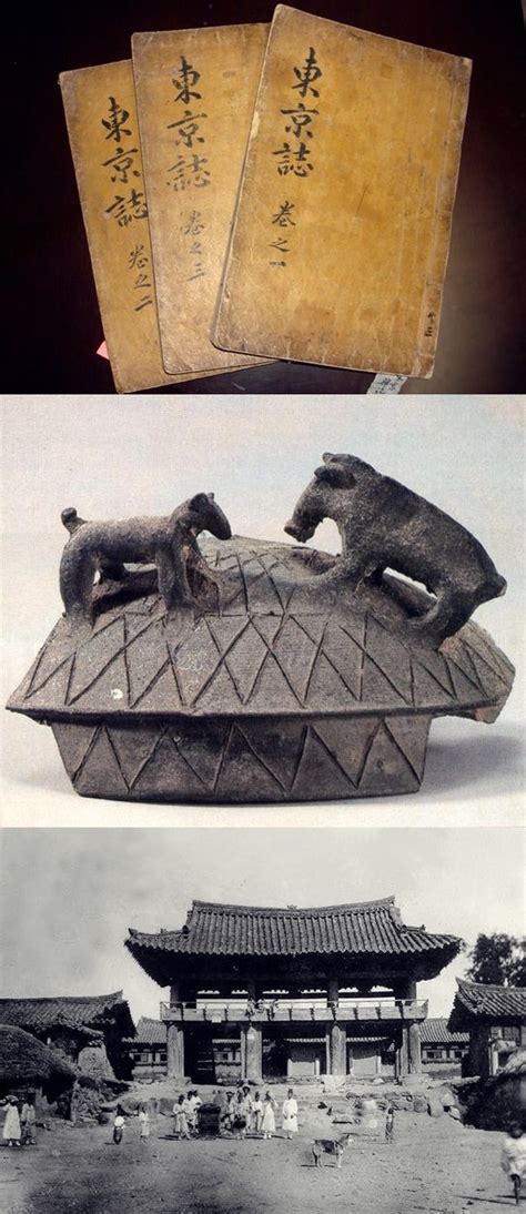 [소년중앙] 신라시대부터 길러온 토종개 천연기념물 동경이를 아시나요 중앙일보