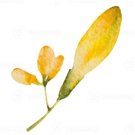 Natural Flower Watercolor Hand Painted 9657760 Png
