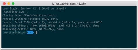 Install Nvm As A Oh My Zsh Plugin Lots Of Emryl
