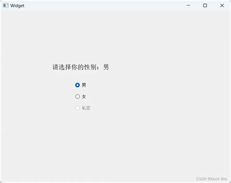 Qt Qt Radio Button Qradiobutton Csdn