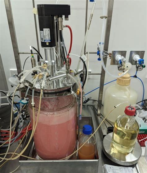 Unsw Recombinant Products Facility On Linkedin Fed Batch Process