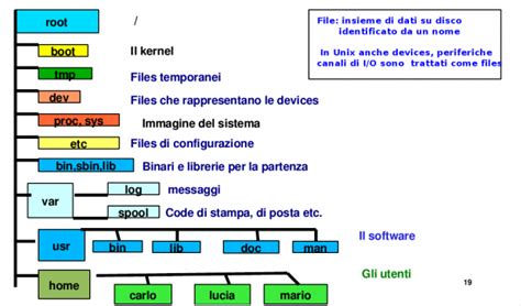 Struttura Del File System Di Linux Guida Al Terminale Di Linux