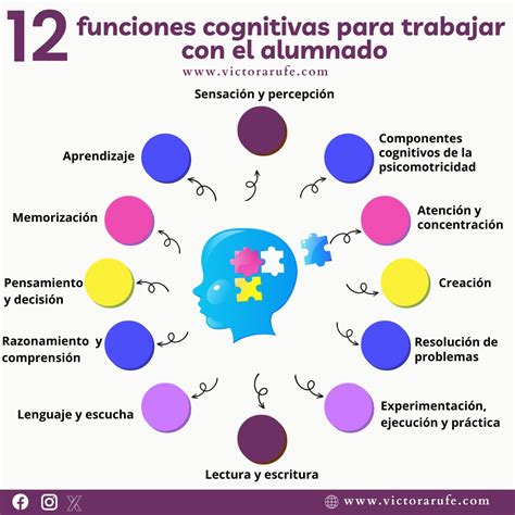 ¿qué Y Cuáles Son Las Funciones Cognitivas Web Personal Del Profesor