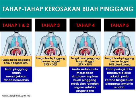 Nak Tahu Tanda Tanda Buah Pinggang Rosak Blog Perkongsian Info Sihat