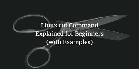 Linux Cut Command Explained For Beginners With Examples