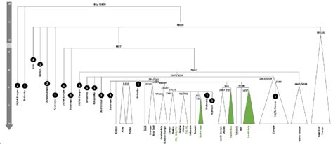 Schematic Tree Of Y Chromosome Haplogroup R1a Phylogeny And Age