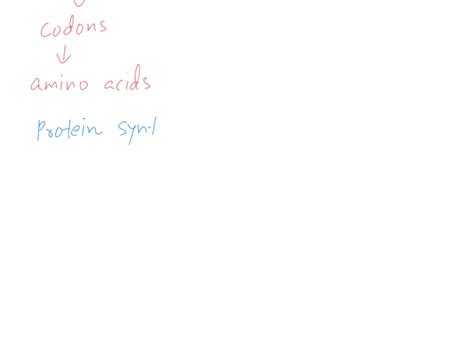 SOLVED B Use The Genetic Code Inthe Image Below T Ranslate Your MRNA Sequence Into Protein