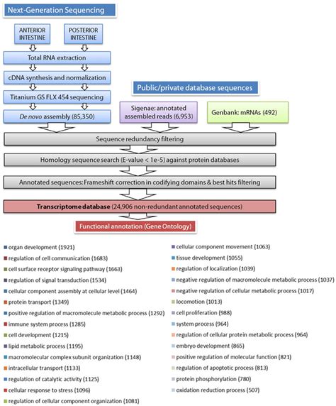 Schematic Representation Of The Data Processing Pipeline For The De Download Scientific Diagram