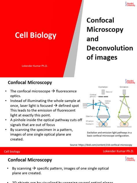 Confocal Micros Pdf