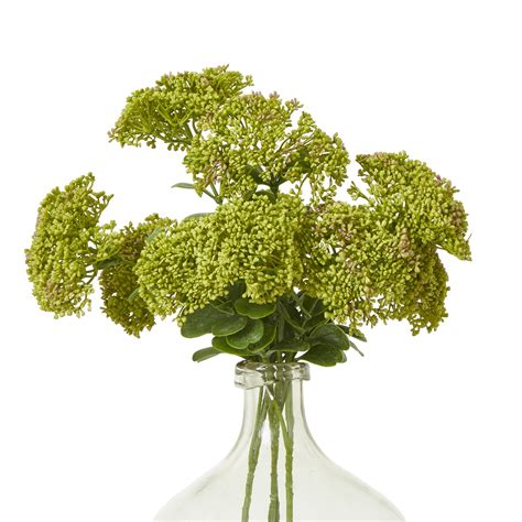 Green Sedum Spray Wholesale By Hill Interiors