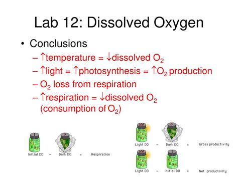 Ppt Lab 12 Dissolved Oxygen Powerpoint Presentation Id416284