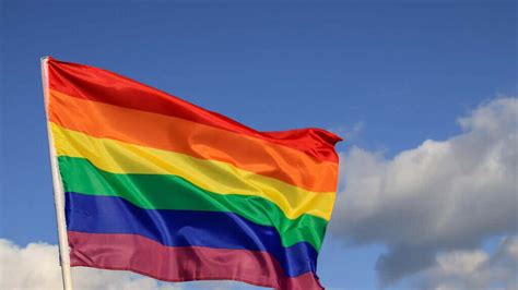 Diferencias Entre Bisexual Y Pansexual Muy Salud