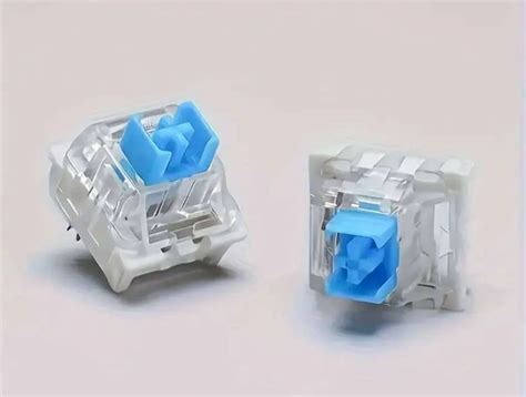 Blank Or 1 Best Teacher Ever Clicker Toy By Ada And K 3da Makerworld Download Free 3d Models