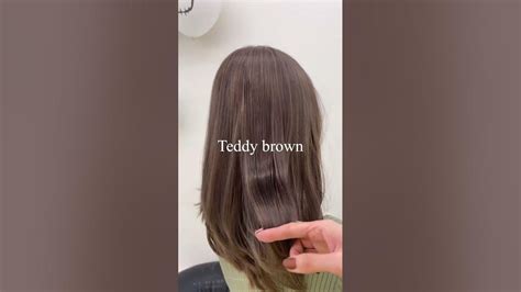 테디브라운 염색 🐻🧸🤎🌰 Youtube