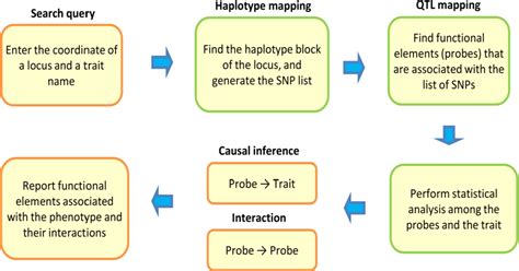 Figure 1 From Understanding The Function Of A Locus Using The Knowledge Available At Single