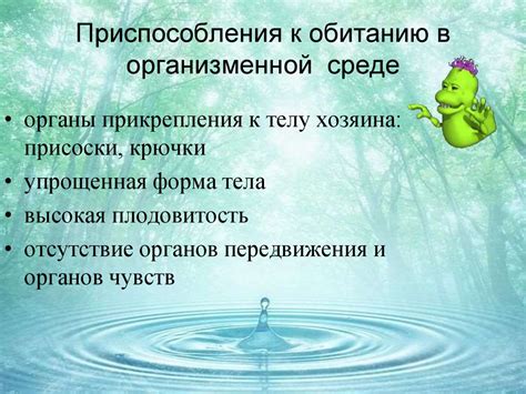 Животные и окружающая среда презентация онлайн