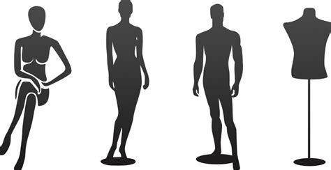 Vector De Silueta De Maniquí De Hombre Y Mujer Descargar Vectores