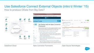 Salesforce External Objects For Big Data PPT