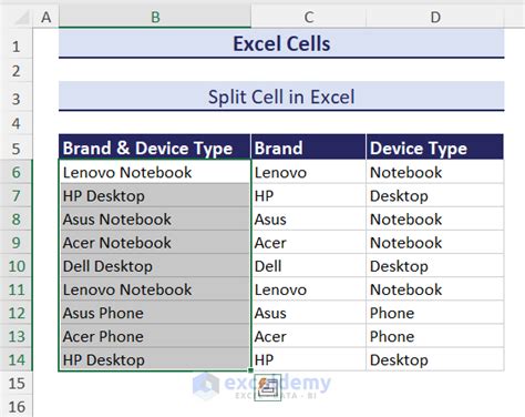 Excel Cells Basics A Beginners Guide Exceldemy