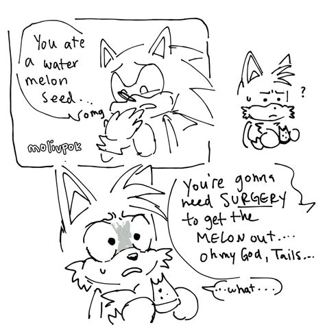 Sonic And Tails Brothers