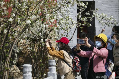 中国・清明節連休で7541万人が旅行 観光収入は3729億円 写真1枚 国際ニュース：afpbb News