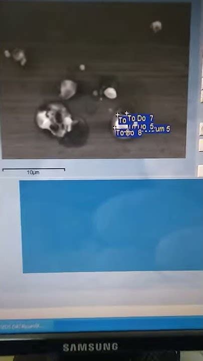 Single Particle Characterization Of Atmospheric Aerosol By Sem Edx Youtube