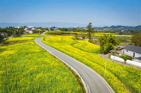 厚衣服请备好！最低气温降至3℃，“倒春寒”要来了？