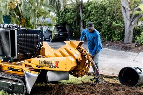 Your Guide To Tree Stump Disposal