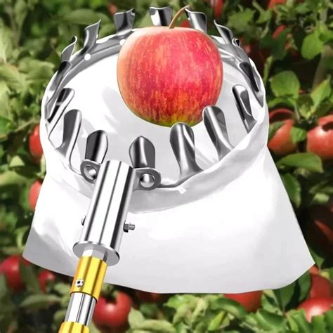 S02ee98d02d314919a7ff24260b5d82c2l