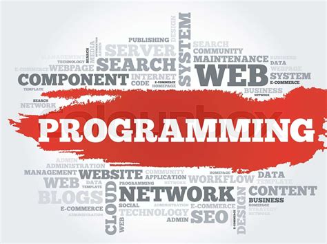Programming Word Cloud Stock Vector Colourbox