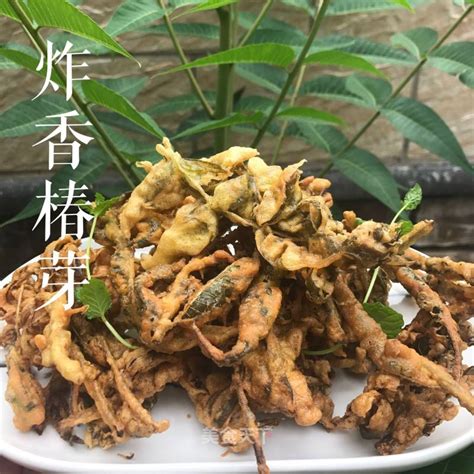 酥脆掉渣的炸香椿芽的做法菜谱美食天下