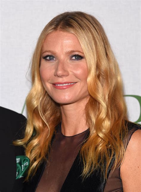 기네스 팰트로 최근 해외 연예가 소식 네모판