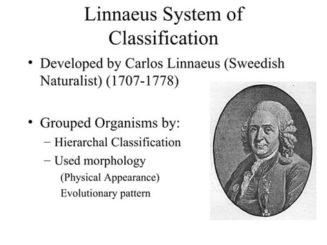Classification Ppt Biological Sciences Science