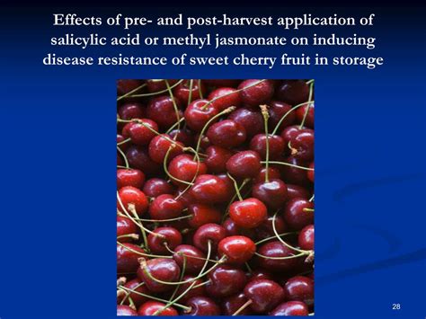 Ppt Uses Of Salicylic Acid In Horticulture Powerpoint Presentation