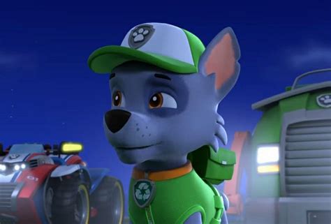Pin By 𝙱𝚕𝚒𝚗𝚗𝚔 On Rocky Paw Patrol In 2023 Paw Patrol Pups Paw