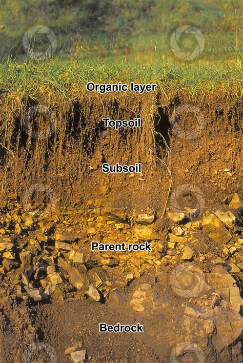 Soil Cross Section Soil Cross Section Types Of Soil Structure