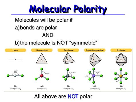 How Do The Lipids Structure Determine The Polarity Of