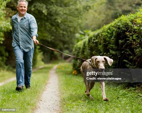 Man On Leash Photos And Premium High Res Pictures Getty Images