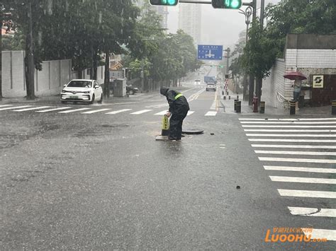 全力保障市民安全，罗湖在行动罗湖社区家园网