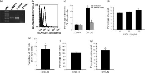 activation of the cxcr4 chemokine receptor enhances biologic